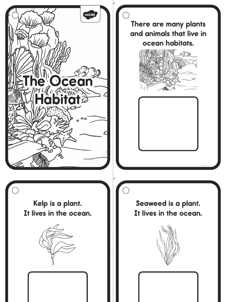 BW The Ocean Habitat Adapted Reader | PDF