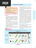 Test Cross vs Back Cross Explained | PDF | Dominance (Genetics) | Zygosity