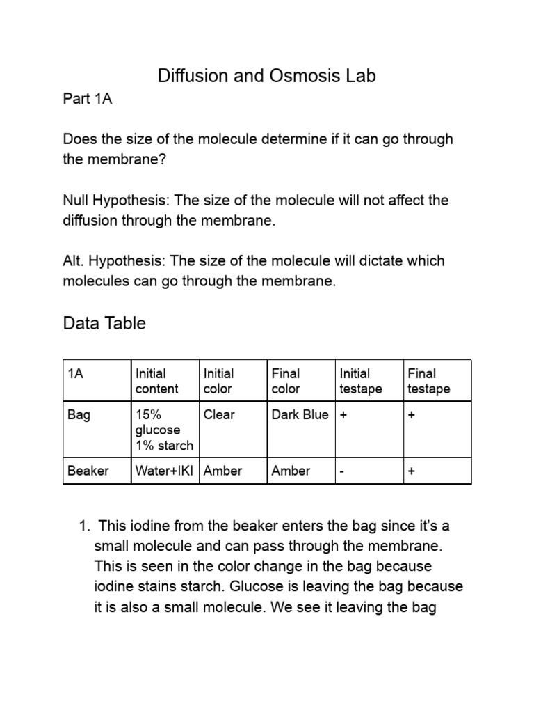 Diffusion and Osmosis Lab - Passive Transport in Cells | PDF | Osmosis ...