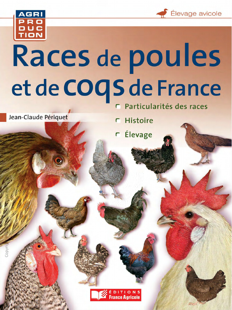 Périquet Jean-Claude - Races de Poules Et de Coqs de France | PDF