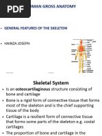 Unlabeled Axial Skeleton Overview | PDF | Skull | Skeletal System