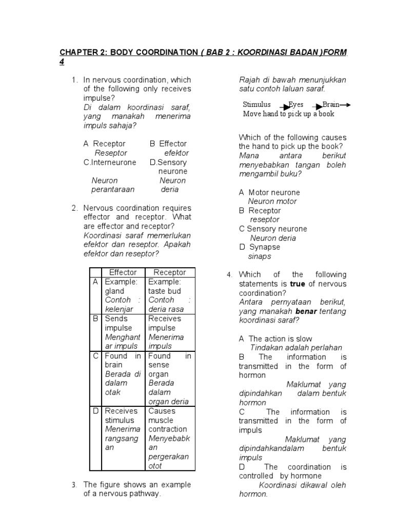Chapter 2: Body Coordination (Bab 2: Koordinasi Badan) Form | PDF