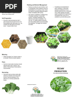 Pechay Growth and Production Guide | PDF | Sowing | Seedling