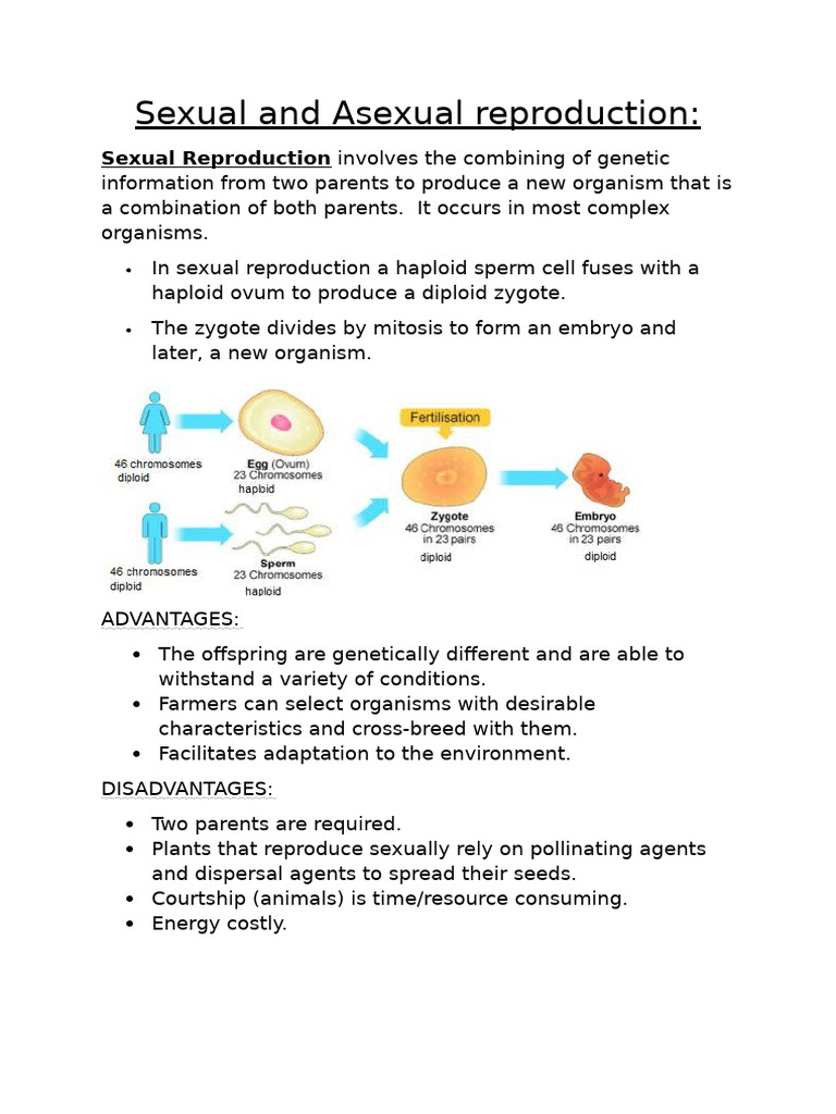 Sexual and Asexual Reproduction | PDF | Sexual Reproduction | Reproduction