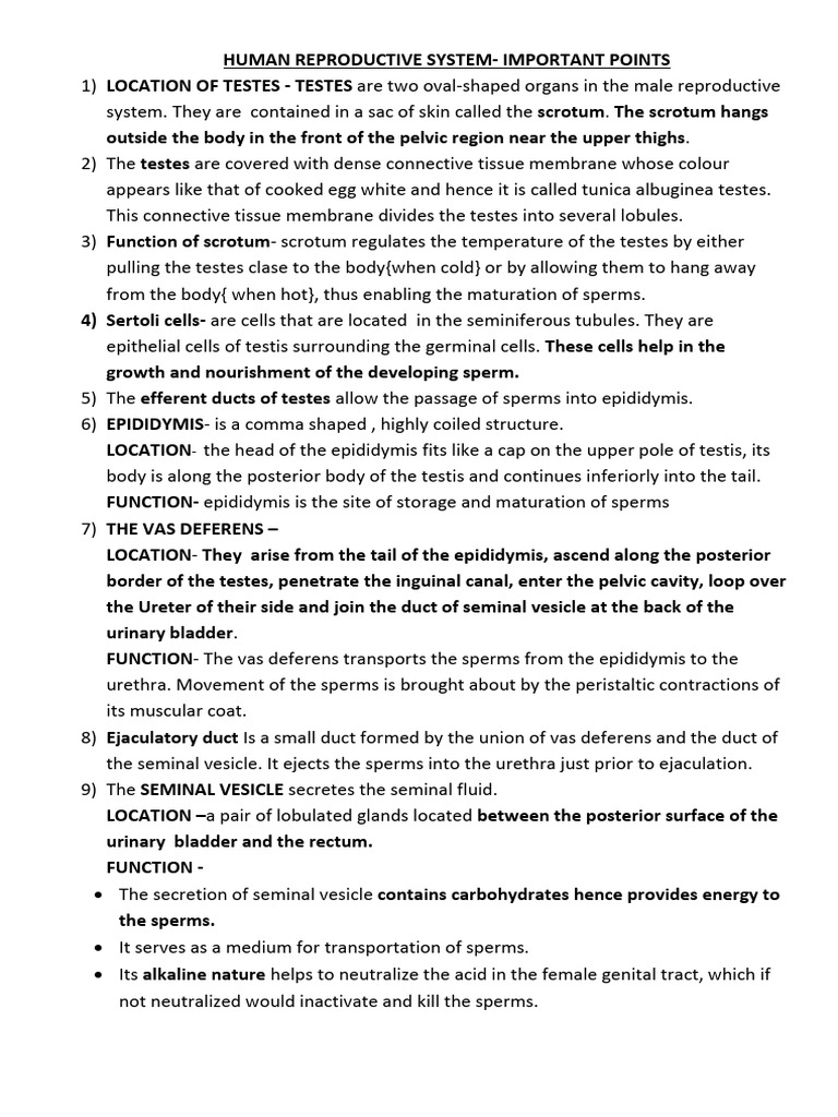 GRADE 10 - Human Reproductive System- Important Points_251013_225327 | PDF