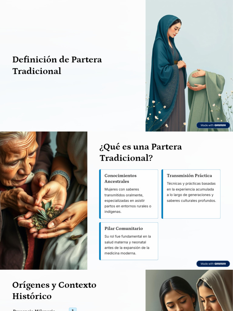 Definicion de Partera Tradicional | PDF | Partería | Parto