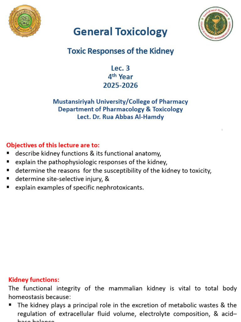 Lec. 3 (Edited) Toxic Responses of The Kidney | PDF | Kidney | Organ ...