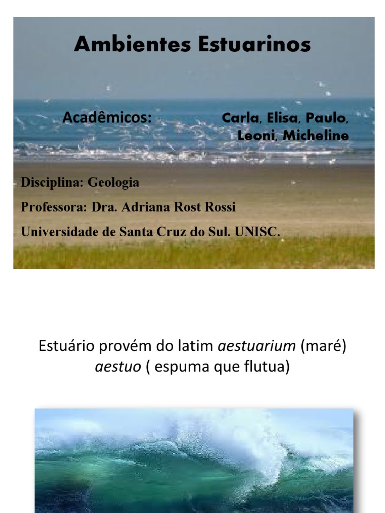 Características e Tipos de Estuários | PDF | Estuário | Água do mar