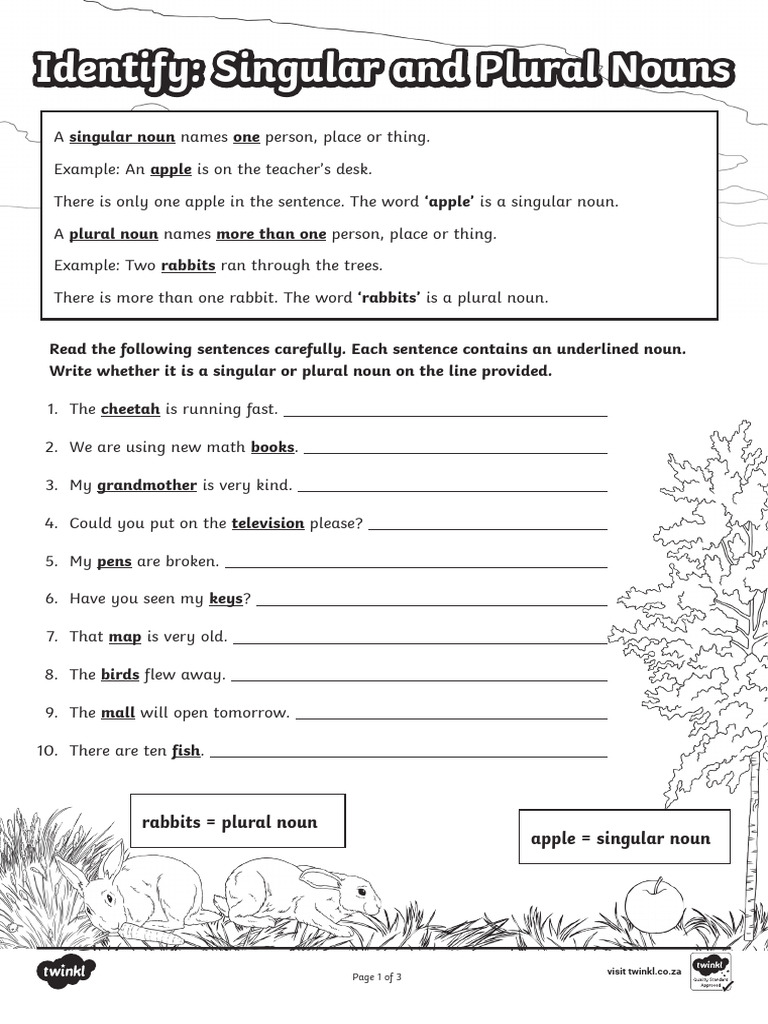Singular and Plural Nouns - Activity Sheet - BW | PDF | Plural ...