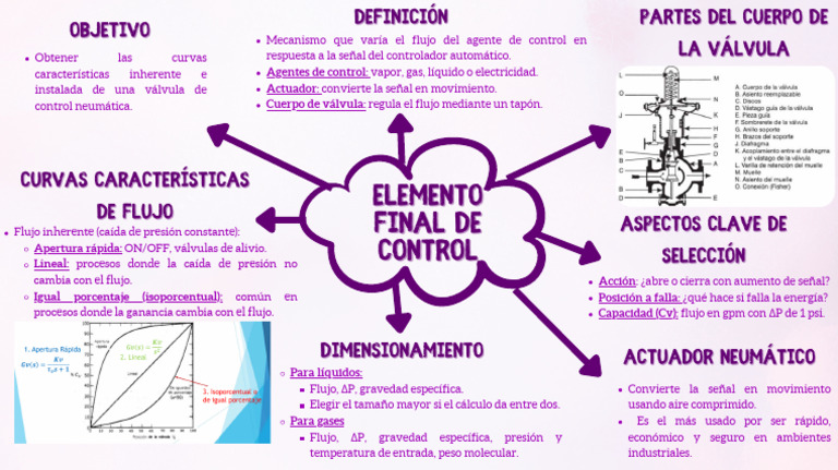 Mapa Mental Elemento Final de Control | PDF