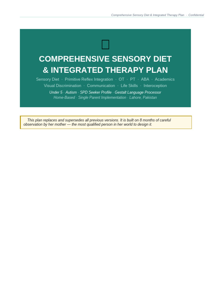 Comprehensive Sensory Diet Plan | PDF