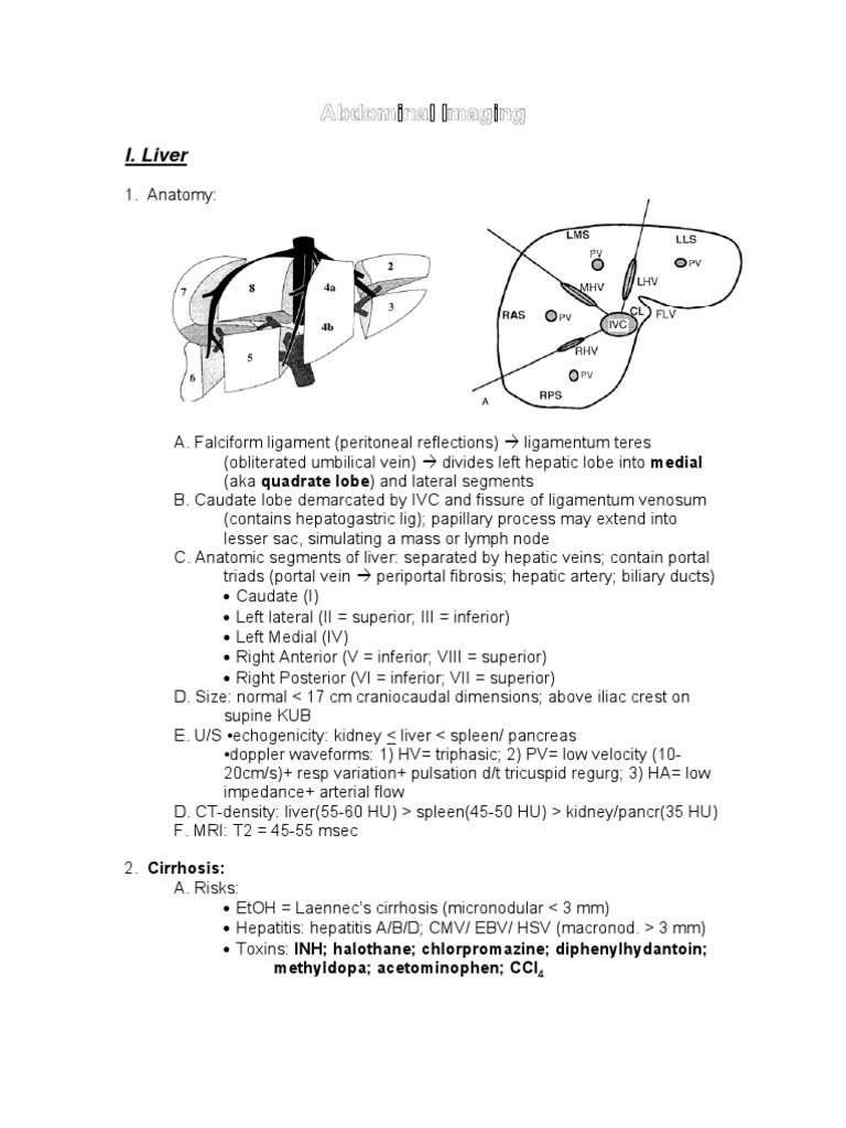 Duke - Abdominal | PDF | Pancreas | Liver