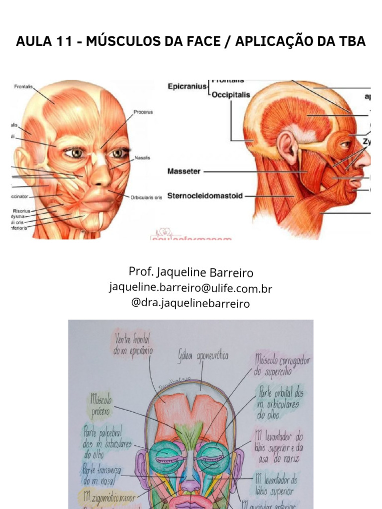 Aula 11 - Músculos Da Face Aplicação Da Tba | PDF
