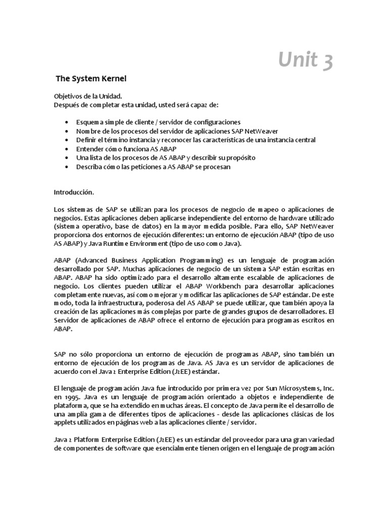 Configuración Cliente/Servidor en SAP | PDF | Java (lenguaje de programación) | SQL