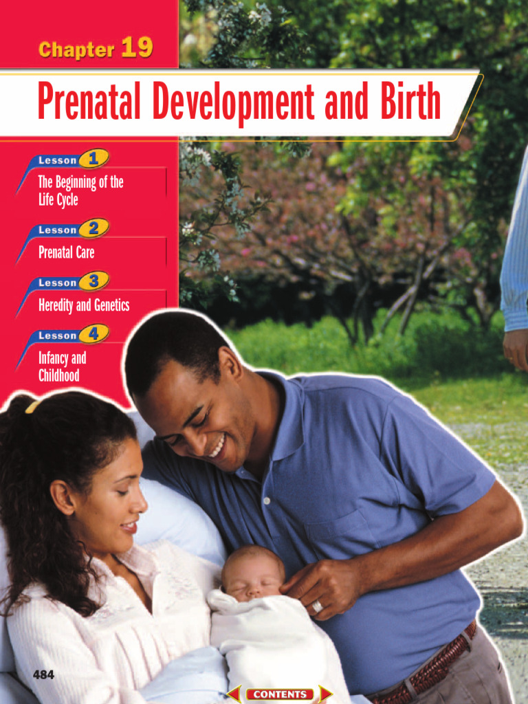 Prenatal Development and Birth | PDF | Pregnancy | Prenatal Development