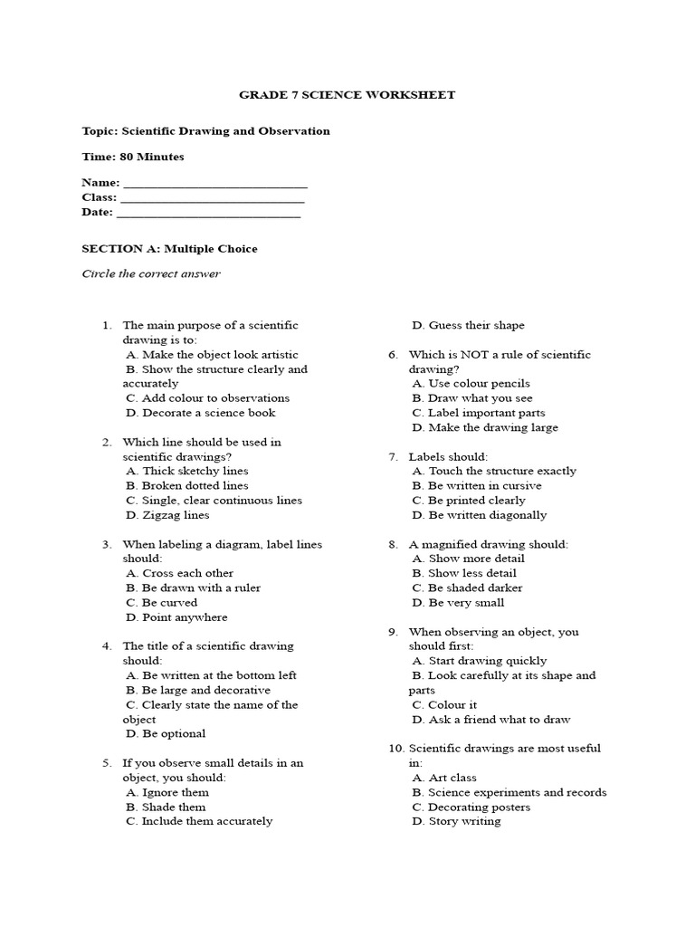 Grade 7 Science Worksheet 80 Mins | PDF | Drawing