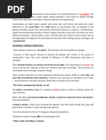 Urochordata Classification Overview | PDF | Chordates