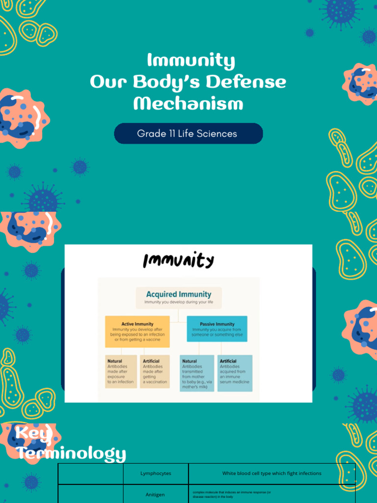 Immunity Slides | PDF | Immune System | Infection