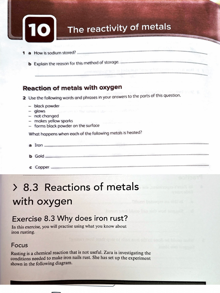 Reactivity With Oxygen Worksheet | PDF | Metals | Physical Sciences