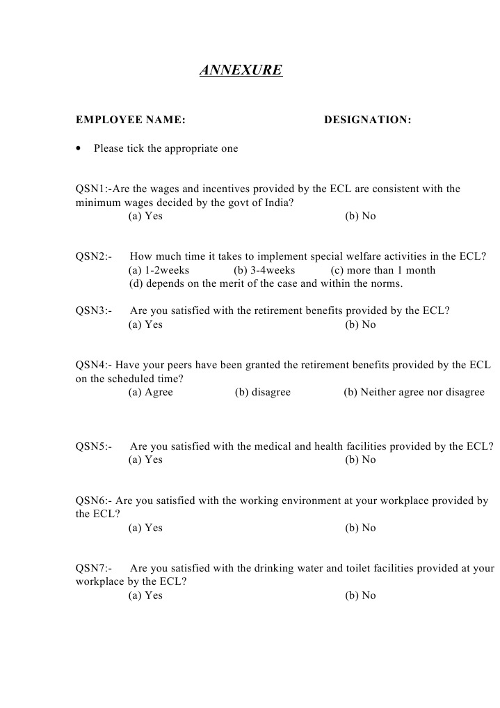 Questionnaire | PDF | Social Ethics | Labor