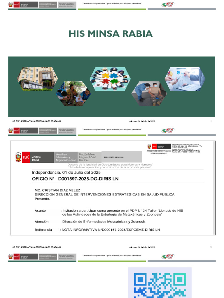 Capacitacion His Minsa Rabia 16-07-2025_dln | PDF | Rabia
