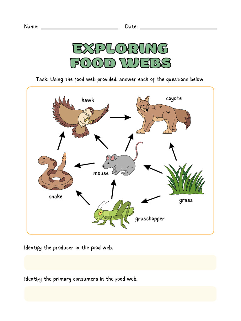 Exploring Food Webs Activity Science Worksheet | PDF | Food Web | Mouse