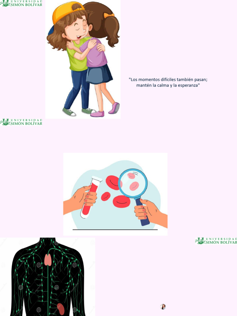MFII_CLASE 5_SISTEMA LINFÁTICO I Y II_MIVC | PDF | Sistema linfático ...