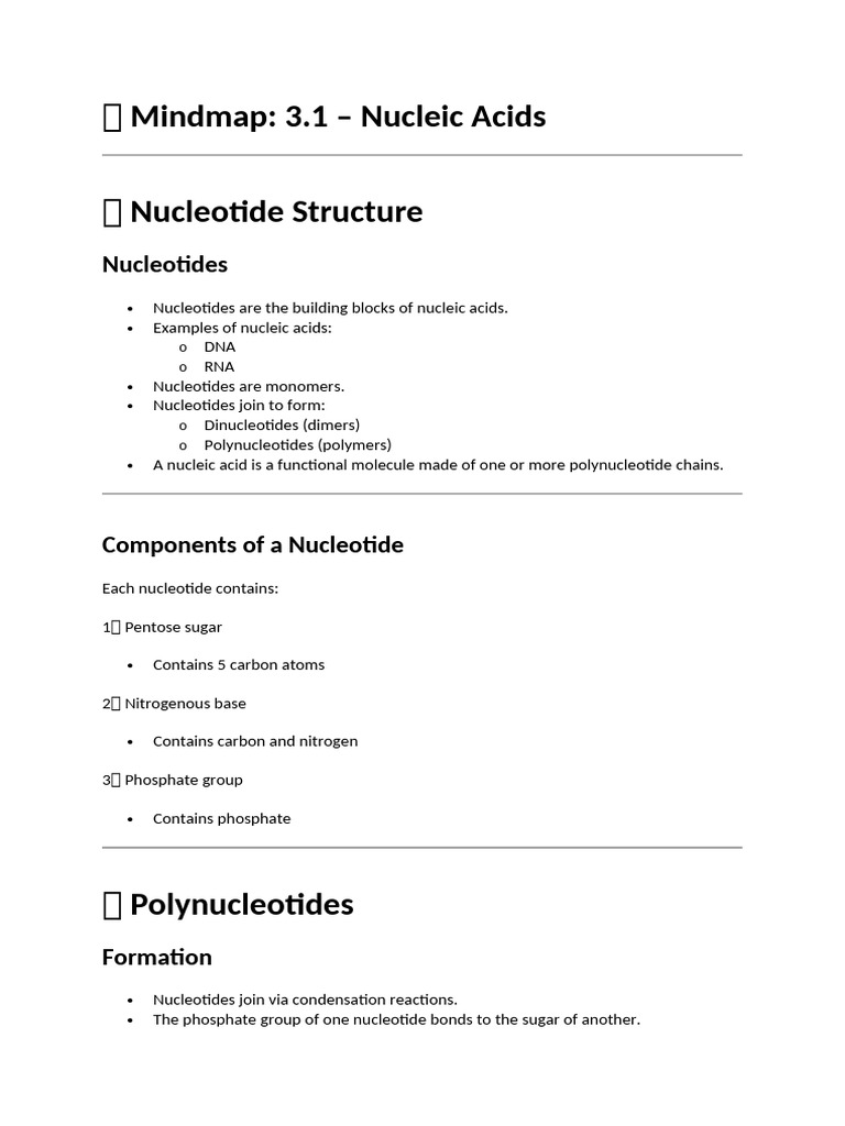 Nucleic Acids Mindmaps Notes | PDF | Translation (Biology) | Nucleotides