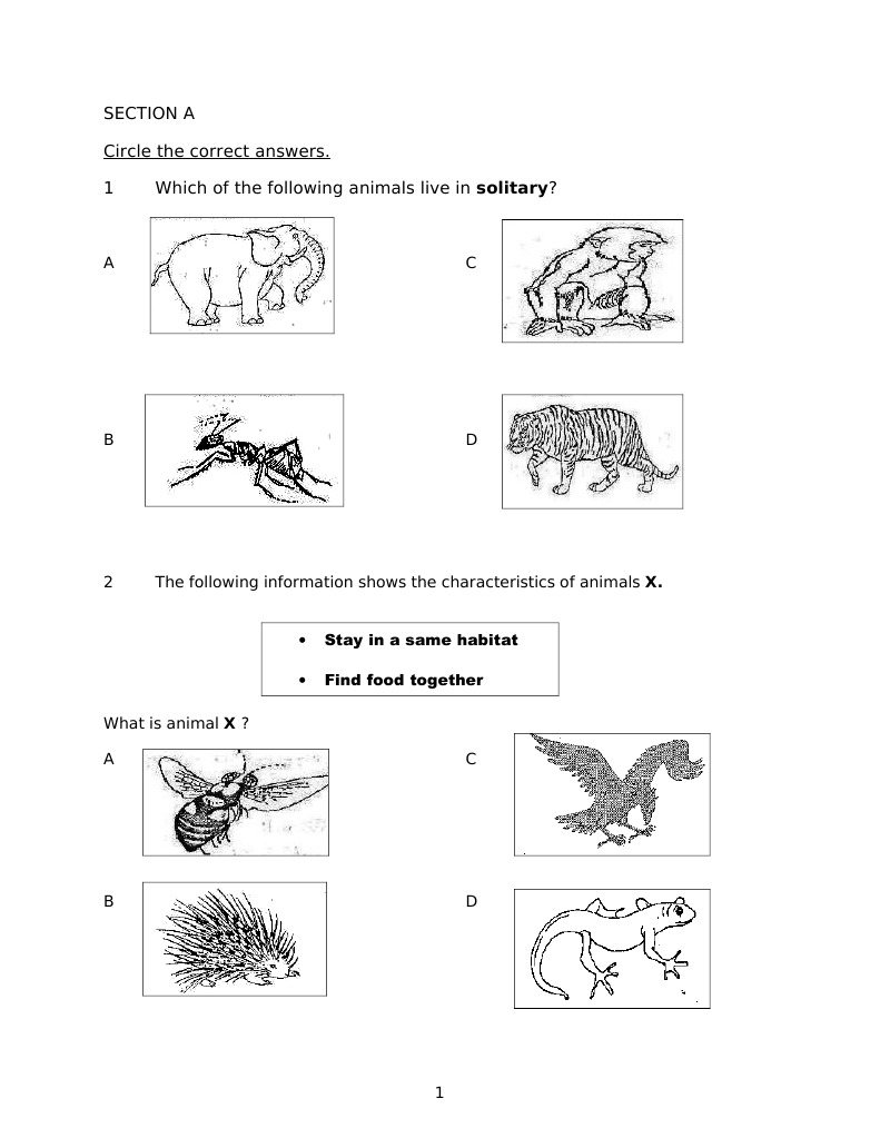 Animal Behavior: Solitary vs Group Living | PDF | Habitat | Natural ...