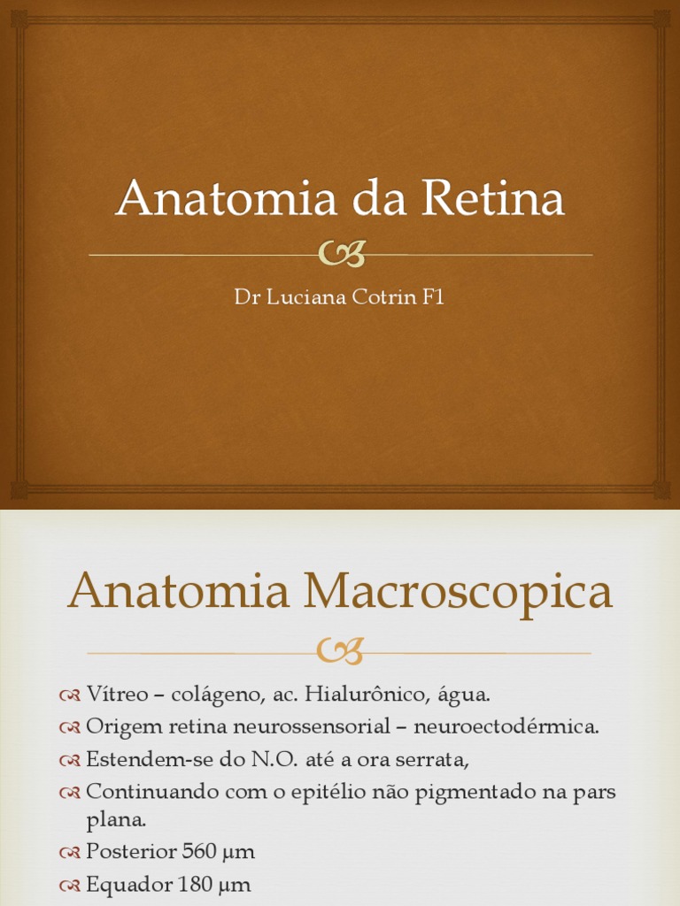 Anatomia Da Retina | PDF | Sistema visual | Retina