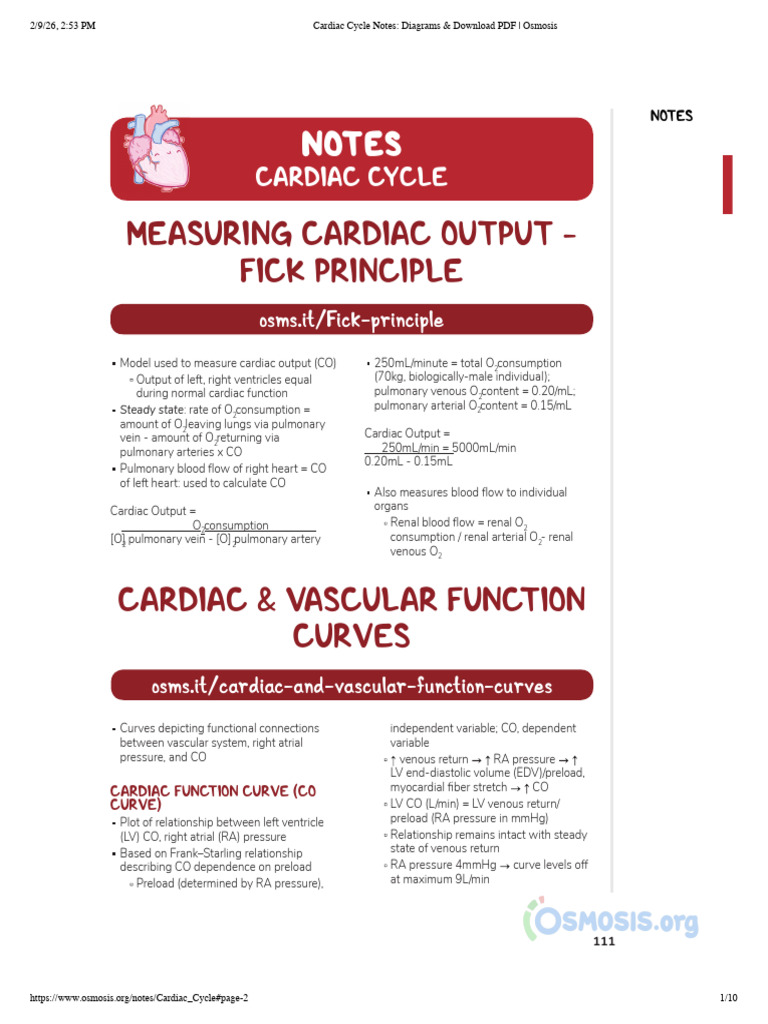 Cardiac Cycle Notes & Diagrams & Download PDF | PDF | Ventricle (Heart ...
