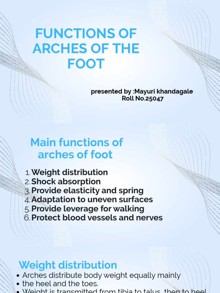 FUnctions of ARCHES of the Foot_20260224_224013_0000 | PDF