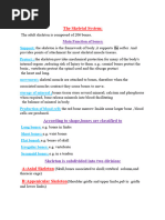 Complete List of 206 Human Bones | PDF | Vertebra | Toe