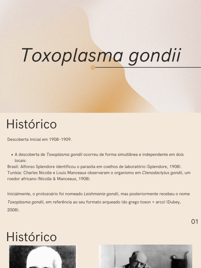 Seminário Parasitologia T. Gondii e Coccídeos | PDF | Elisa | Imuno ...
