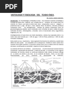 Definición de Osteona en Hueso Compacto | PDF | Hueso | Morfología ...