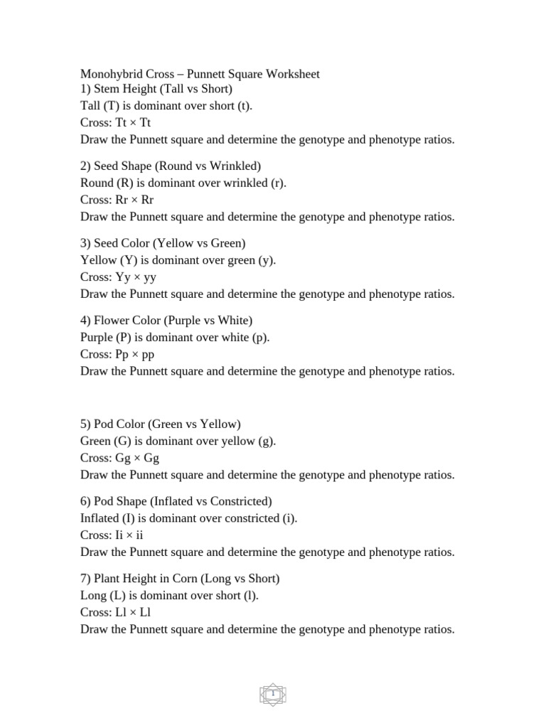 Monohybrid Punnett Square Worksheet | PDF