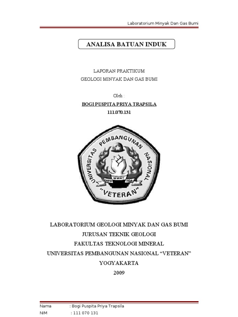 Analisa Batuan Induk | PDF