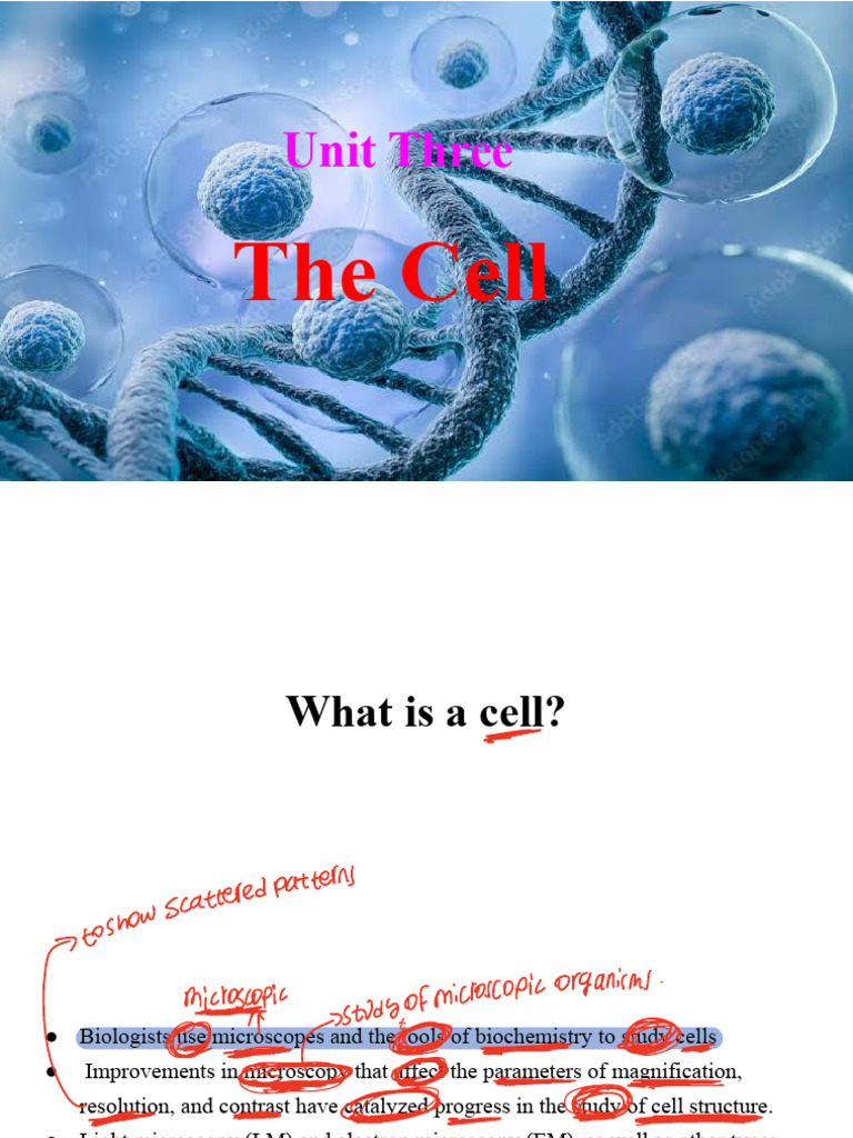Grade 9 Biology - Unit 3 | PDF | Chloroplast | Cell (Biology)