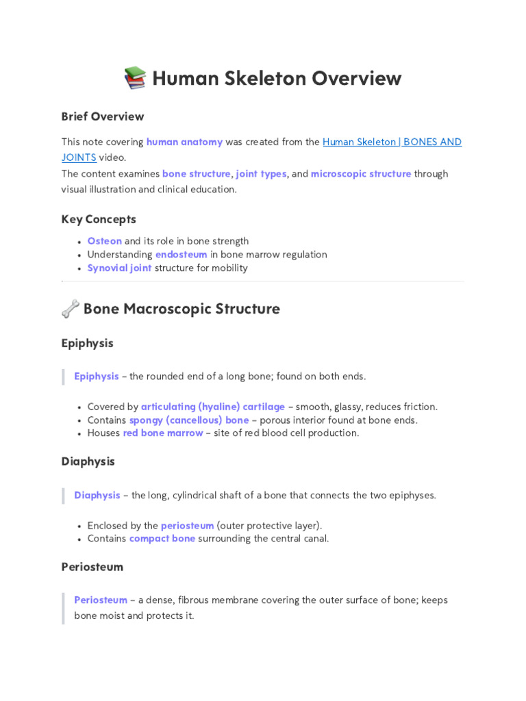 Human Skeleton - BONES AND JOINTS | PDF | Bone | Cartilage
