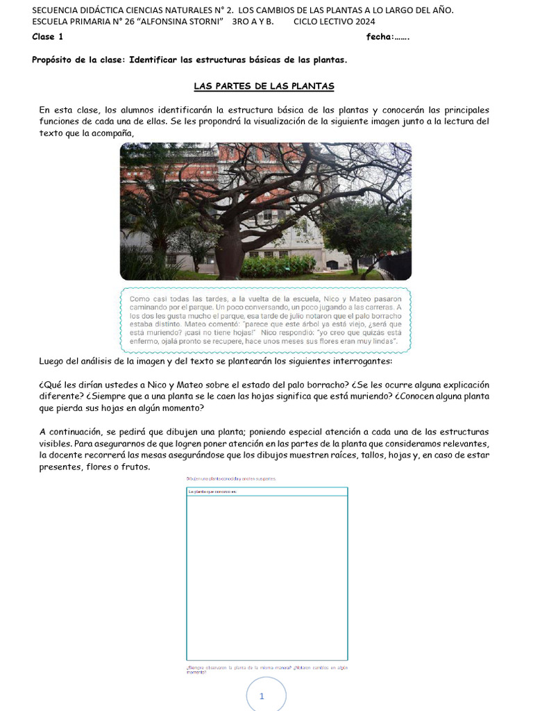 Secuencias Didáctica, Cambios Es Las Plantas. | PDF | Plantas | Arboles