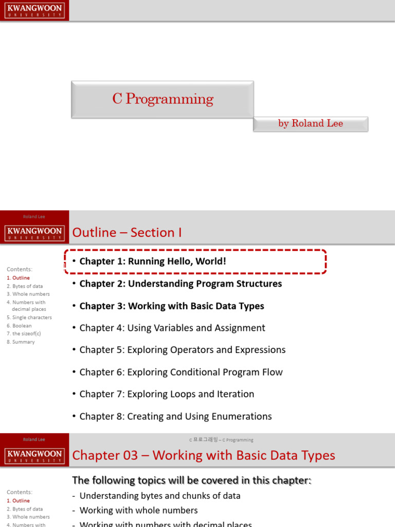 03 C Programming - Working With Basic Data Types | PDF | Data Type ...
