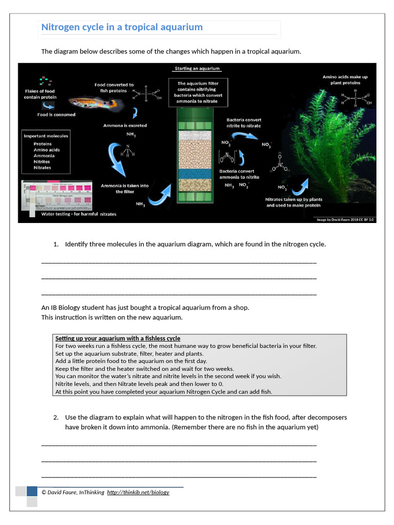 Nitrogen Cycle Aquarium Application | PDF | Aquarium | Nitrate
