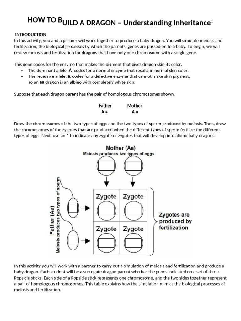 How To Build A Dragon | PDF | Genotype | Ploidy