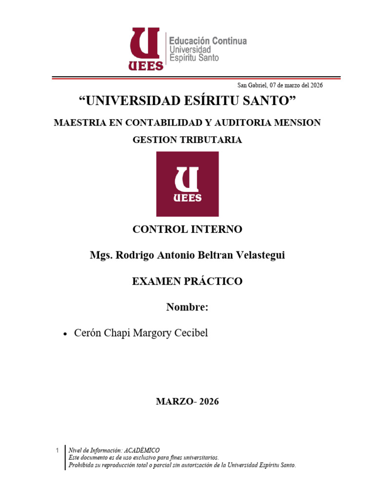 Ceron Cecibel_control Interno_ Examen Practico | PDF