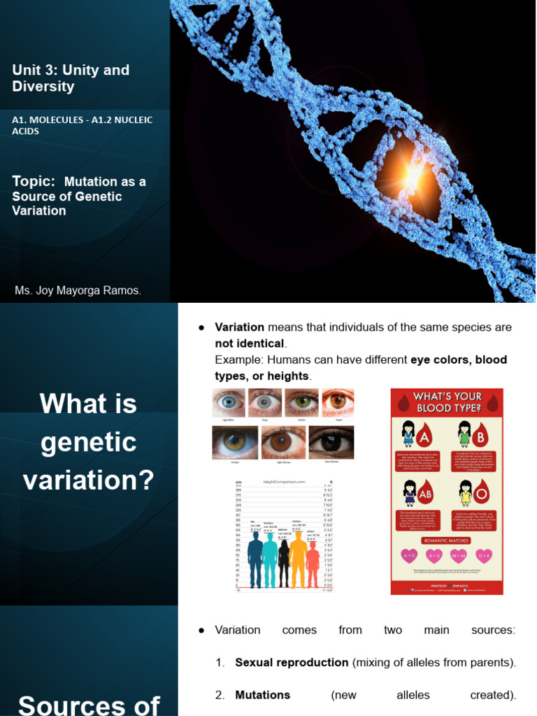 Unit 3: Mutation as a Source of Genetic Variation | PDF | Mutation ...