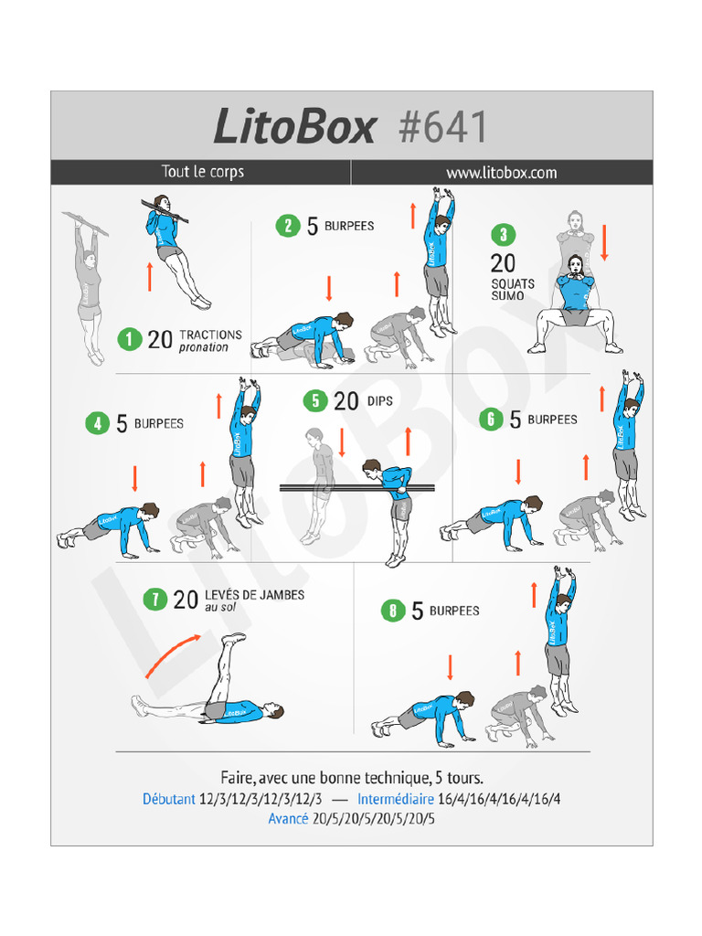 Litobox Circuit 641 | PDF
