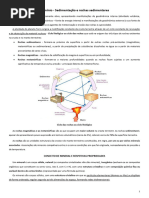 Tipos de Clivagem em Minerais | PDF
