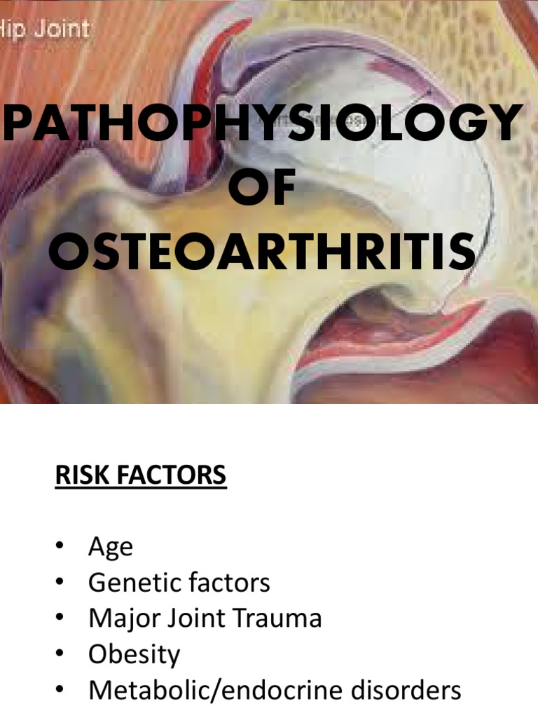 Pathophysiology OF Osteoarthritis | PDF