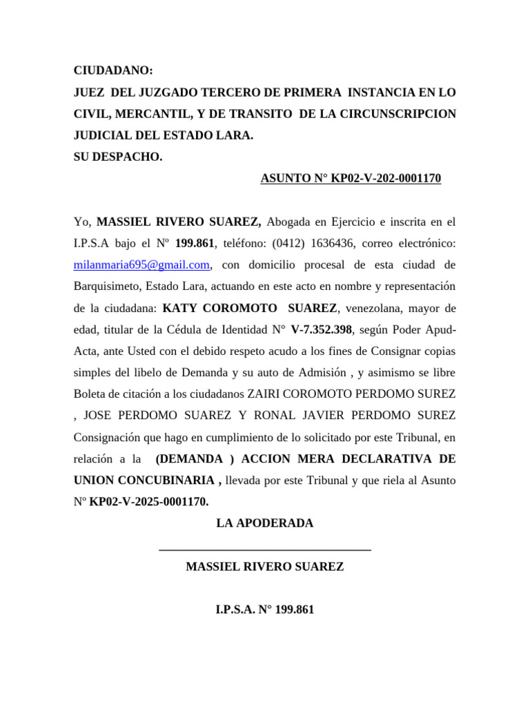 Diligencia Massiel | PDF