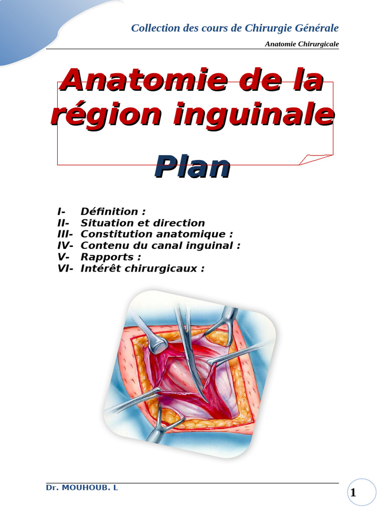 La Région Inguinale Anatomie | PDF